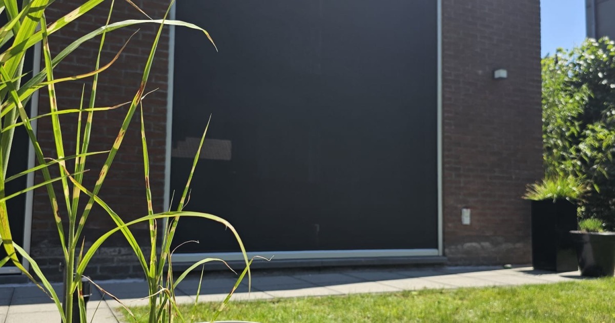 Windvaste screens te Olen › | Top zonwering - Sunproof nr 1 in ☀️